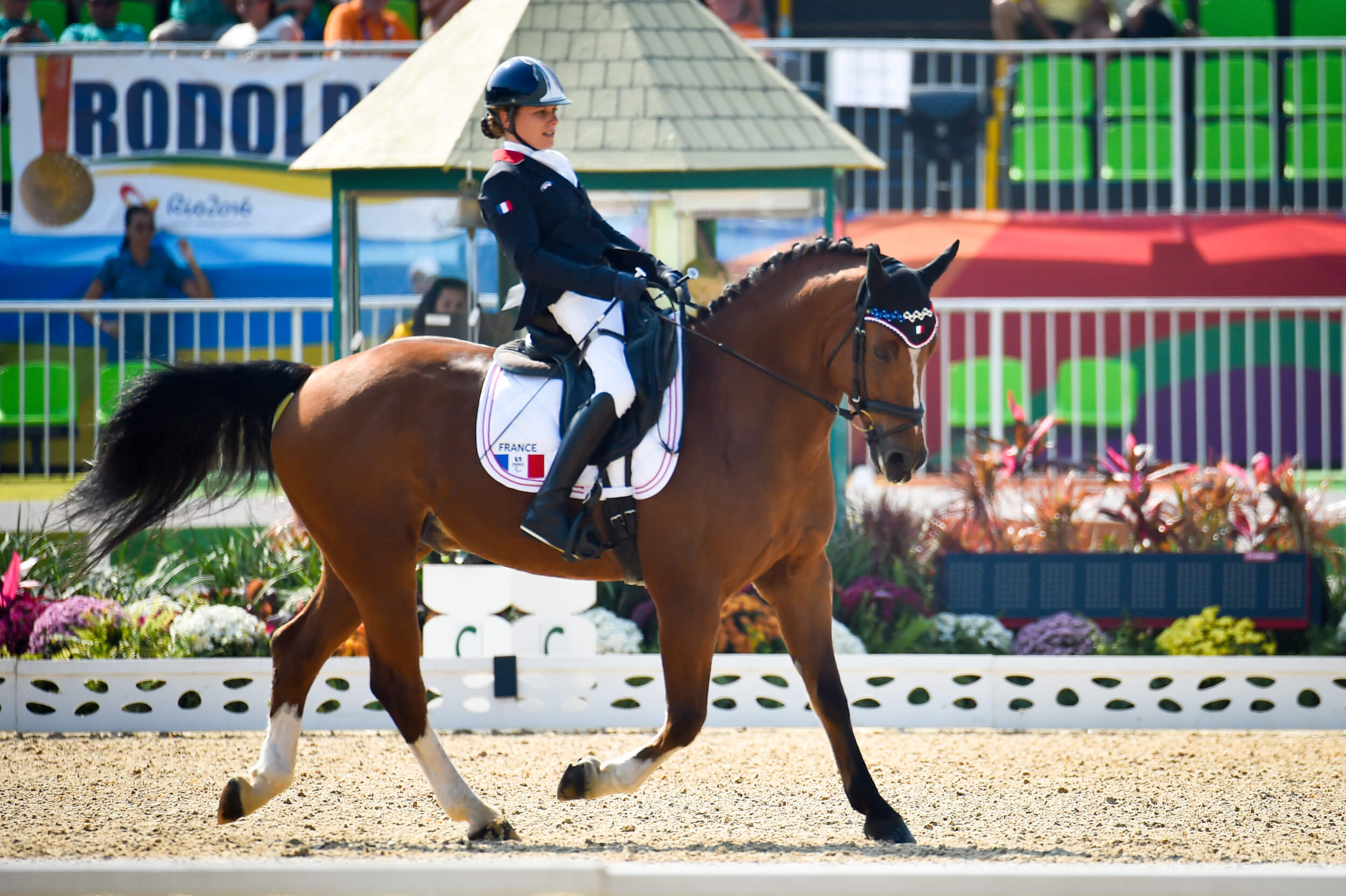 Céline GERNY - Comité Paralympique et Sportif Français Comité ...